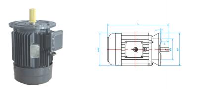 China YE2 3 Phase Asynchronous Motor Cast Iron Horizontal Motor for sale