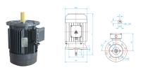 China Abb Motor Iec 60034 1 Iec 3 Motor for sale