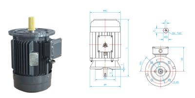 China Abb Motor Iec 60034 1 Iec 3 Motor for sale