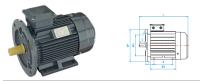 China IE3 3 Phase Asynchronous 2 Pole Motors 3000rpm With Built-In Frequency Inverter for sale