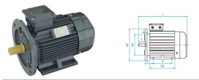 China IE3 3 Phase Asynchronous 2 Pole Motors 3000rpm With Built-In Frequency Inverter for sale