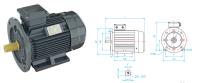 China Three Phase Inverter Induction Motor YE2 Cast Iron Horizontal for sale