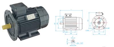 China Three Phase Inverter Induction Motor YE2 Cast Iron Horizontal for sale