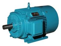 China Nema Premium Motor Manual 55kw 75kw 110kw 132kw 250kw 280kw 315kw 380V 440V for sale