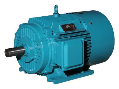 China Nema Premium Motor Manual 55kw 75kw 110kw 132kw 250kw 280kw 315kw 380V 440V for sale