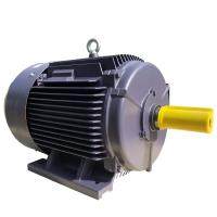 China Standard Mg 1 Nema Premium 3 Phase Motor 15kw 32kw 55Kw for sale