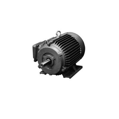 China Crane Lifting Frame Cast Iron Electric Motor 100KW for sale