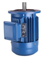 China 25w 15 Kw 200kw Ac Induction Motor Squirrel Cage 3 Phase 380V for sale