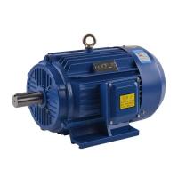 China Nema Mg 1 2011 1993 2006 3 Phase NEMA Standard Motors for sale