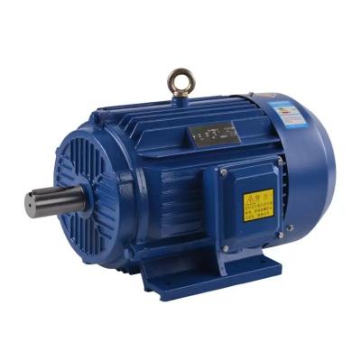 China Nema Mg 1 2011 1993 2006 3 Phase NEMA Standard Motors for sale