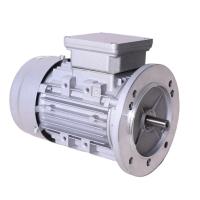China Tefc 3 Phase Squirrel Cage Induction Motor 5.5kw 7.5 Hp for sale