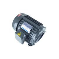 China 1.5 Hp 0.25 Hp 1hp 3 Phase Induction Motor And Single Phase Induction Motor for sale