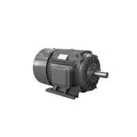 China Single Phase Induction Motor And Three Phase Induction Motor Ac 0.75Kw 1HP 3hp for sale