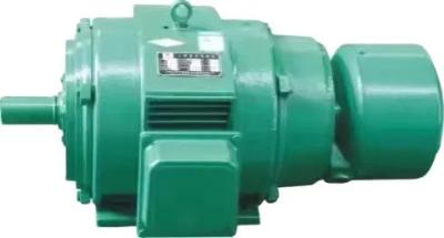 China Ac 3 Phase Squirrel Cage Induction Motor Three Phase Induction Machine for sale