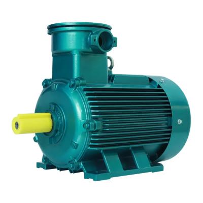 China 24V 3 Phase Asynchronous Motor Three Phase Ac Motor 0.75kw for sale