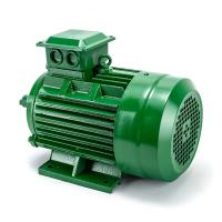 China Single And Three Phase Induction Motor 3 Phase Induction Machine 3ph 5.5kw 4Kw Ip55 for sale