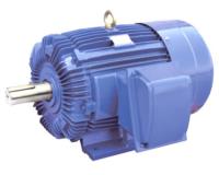 China En 60034 Iec Explosion Proof Motors Standard for sale