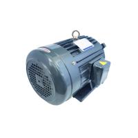 China Nema Mg1 22.40 32 Nema Premium 3 Phase Motor for sale