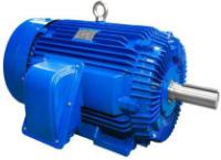 China Nema C50 41 Ics 2 Nema Premium Efficient Motors for sale