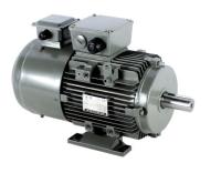 China Aluminum Asynchronous Inverter Motors 3 Phase for sale