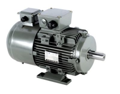 China Aluminum Asynchronous Inverter Motors 3 Phase for sale