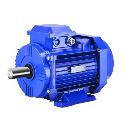 China Three Phase Asynchronous Electric Motor Squirrel Cage UKAS for sale