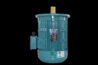 China Reliable Single Phase Asynchronous Motor with IP55 Protection and High Humidity Resistance for sale