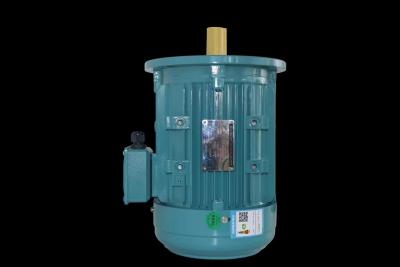 China Reliable Single Phase Asynchronous Motor with IP55 Protection and High Humidity Resistance for sale