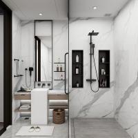 China Stainless Steel Bathroom Shower Niche 304 Grade for Toilet Brush and Storage for sale