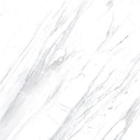 China Black Vein Granite Floor Tiles 60x60 cm Porcelain Tile for White Marble Floor 600x600mm for sale