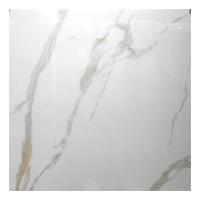 China 60x60cm Marble Interior Floor Tile 0.5 Percent Water Absorption Square Living Room Tile for sale