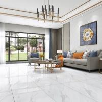 China 60x60cm Marble Interior Floor Tile 0.5 Percent Water Absorption Square Living Room Tile for sale