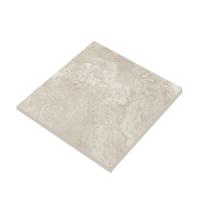 China Good 600*600mm Regular Single Color Porcelain Floor Tile with Antibacterial Function for sale