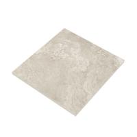 China Good 600*600mm Regular Single Color Porcelain Floor Tile with Antibacterial Function for sale
