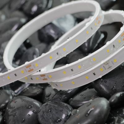 China ERP 2835 WHT 6500K SDCM 3 LED  5 Years Warranty Wide CCT range Energy Efficiency Class F for sale
