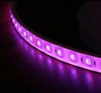 China Remote Control SMD 5050 RGB LED Strip 24v Flexible LED Tape For Bar Ceiling for sale