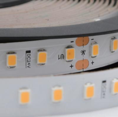 China Constant Current 10mm LED Strip Tape Light SMD2835 DC24V RA90 6500K for sale