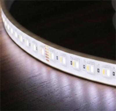 China 20W/M IP68 UL SMD5050 RGBWW LED Tape Light For Architectural Lighting for sale