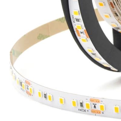 China 10mm SMD LED Strip Light SMD2835 24V 12V RA90 Cold White for sale