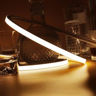 China Long Run Flexible Neon Strip for sale