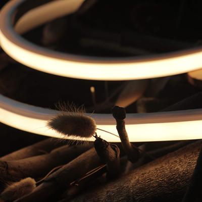 China 24VDC 2700K LED Neon Light Strips For Room Warm White Lumileds 2835 for sale
