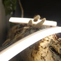 China 24V Flexible Silicone LED Neon Light Warm White Architectural Lighting ERP for sale