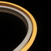 China ERP Silicone Neon LED Strip for sale