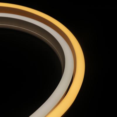 China ERP Silicone Neon LED Strip for sale