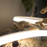 China Double White Waterproof Neon Lights 24V IP67 For Outdoor for sale