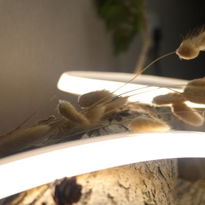 China Double White Waterproof Neon Lights 24V IP67 For Outdoor for sale