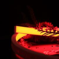China DC24V IP67 Silicone LED Neon Light RGBW Color 4 In 1 SMD5050 Vertical Bending for sale