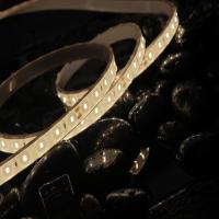 China 4000K LED Strip Light Ra90 IP68 PU Strip Ribbon Light 2835LED for outdoor for sale