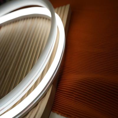 China 5W 10W DC24V IP67 LED Silicone Neon Strip For Outdoor Lighting for sale