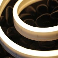 China 8W Flexible Neon Strip Tunable White 2700K - 5700K LED Neon Strip 6.5mm X 12mm for sale